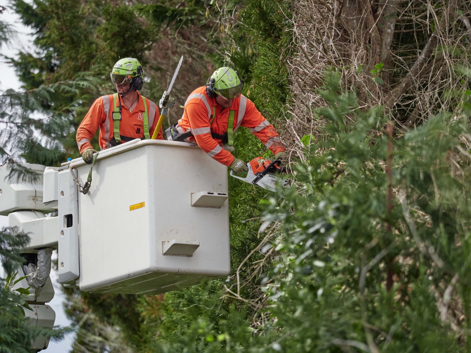 Staying safe around overhead lines - Northpower