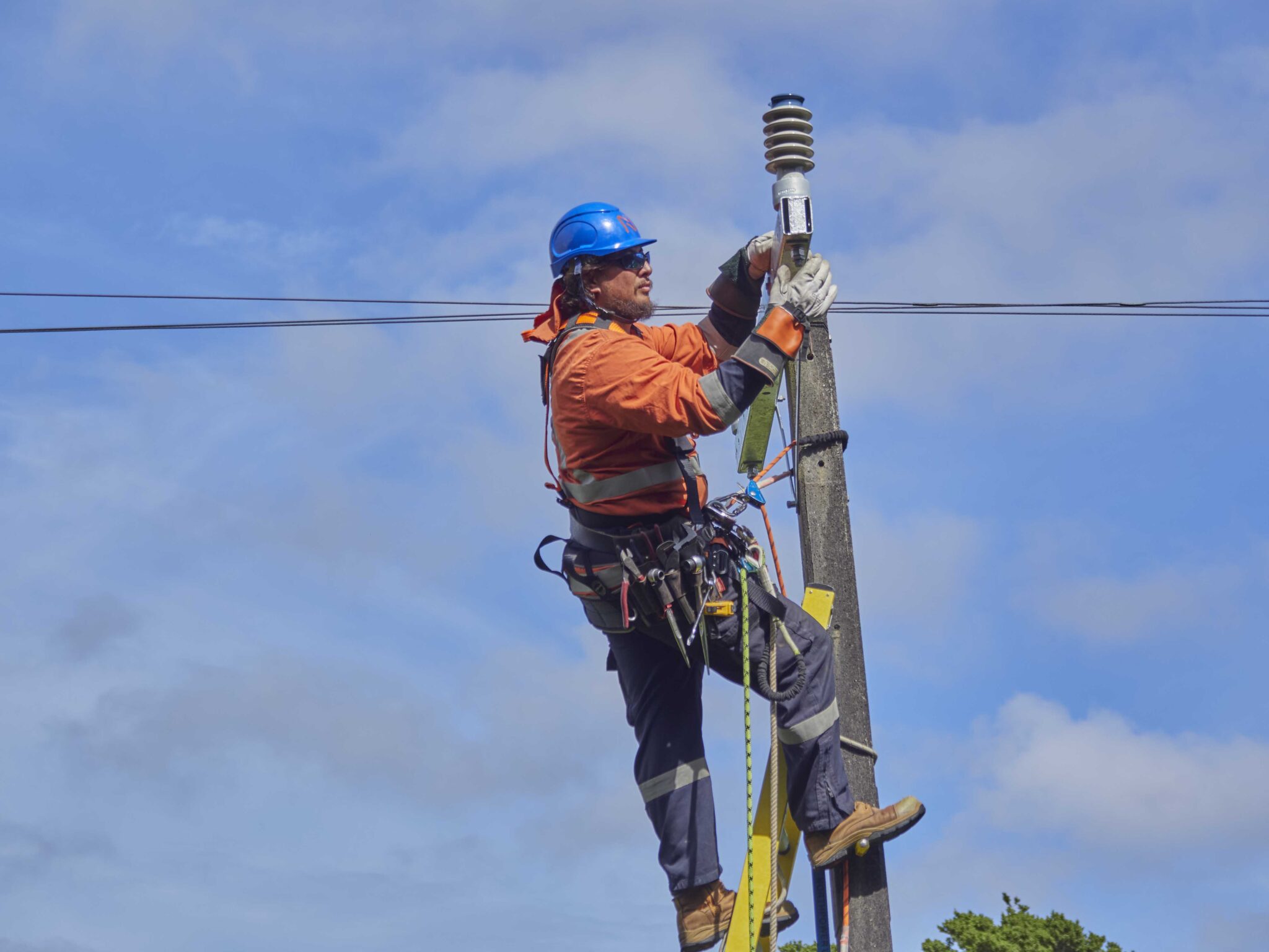 For business - Northpower