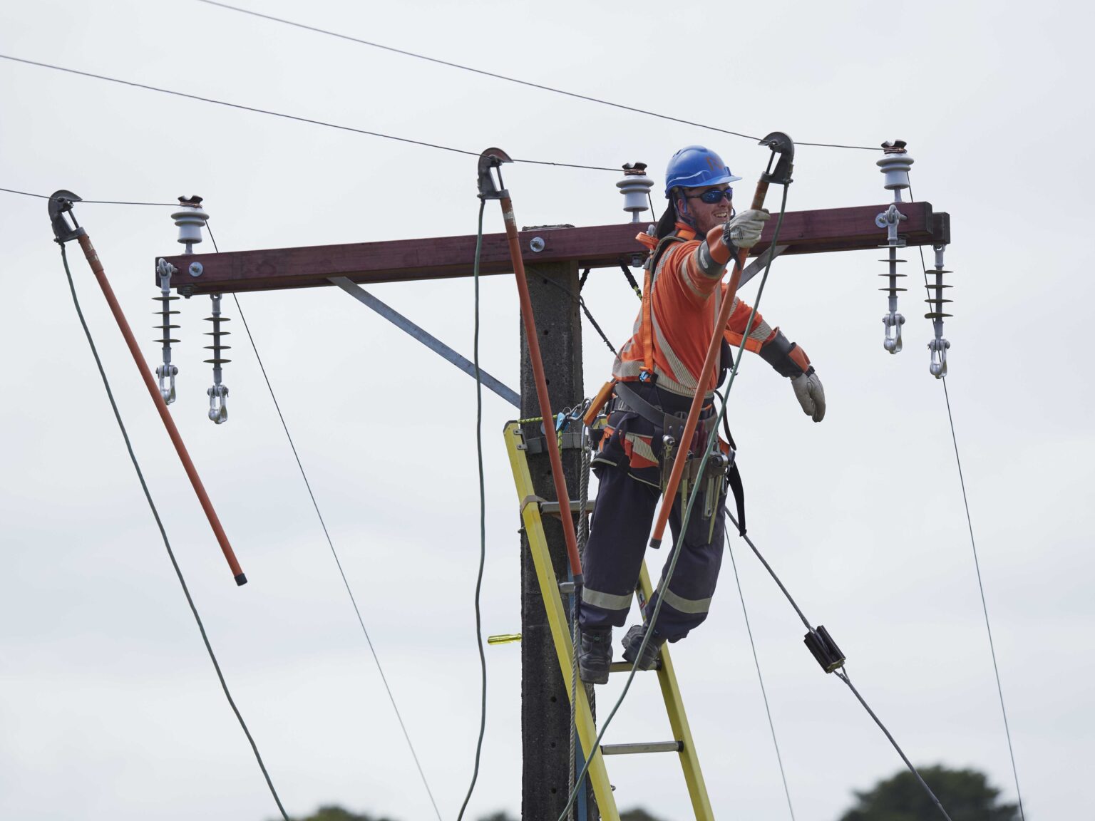 Electricity - Northpower