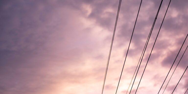 Fallen power lines - Northpower