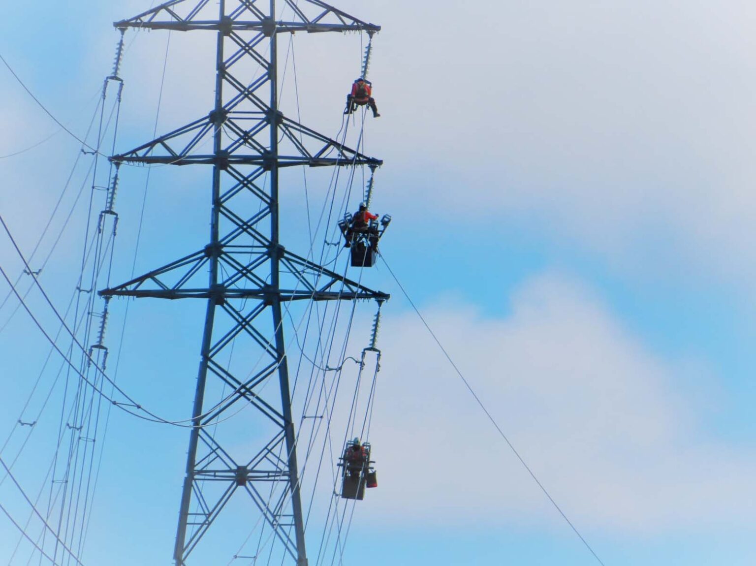 Electricity in New Zealand - Northpower