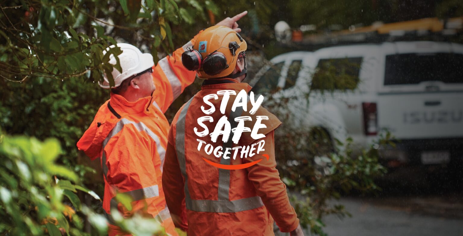 2025 pricing change - Northpower