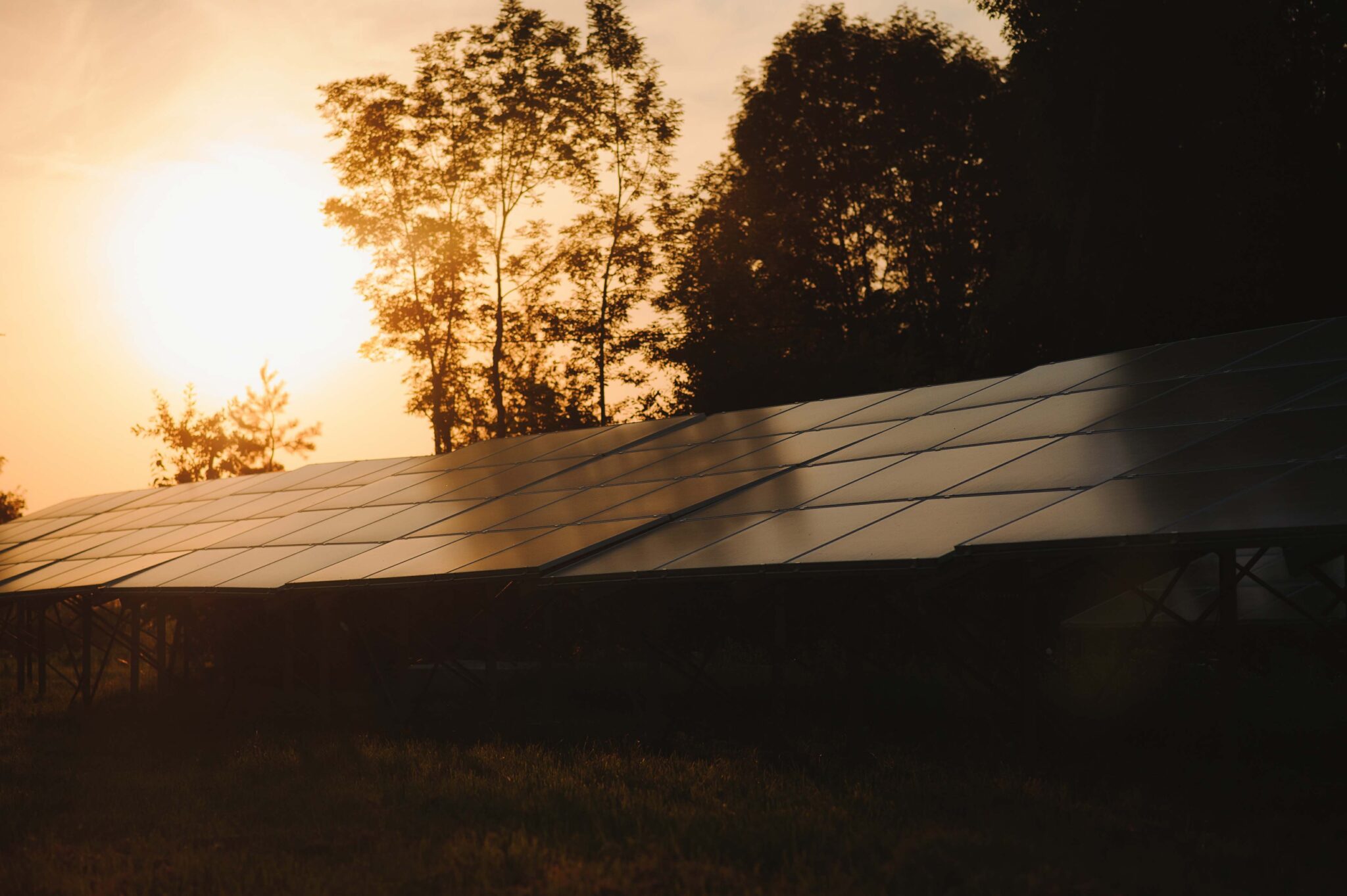 Large scale solar - Northpower