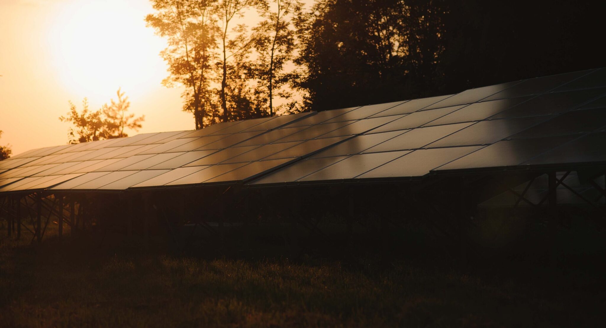 Large scale solar - Northpower